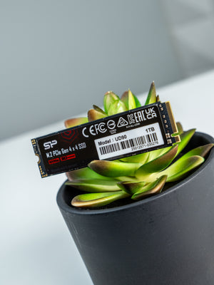 SSD List – Zach's Tech Turf